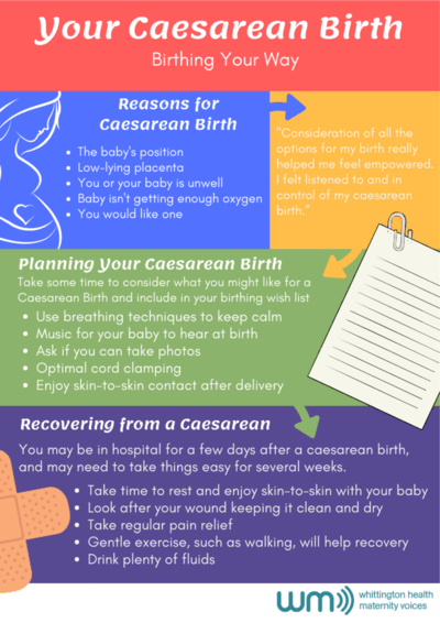 Caesarean Birth (print version)