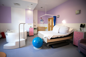 Birth Centre (print version)