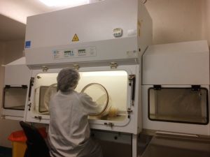 Chemotherapy Production Unit