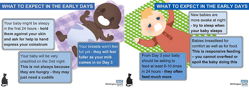 Feeding your baby